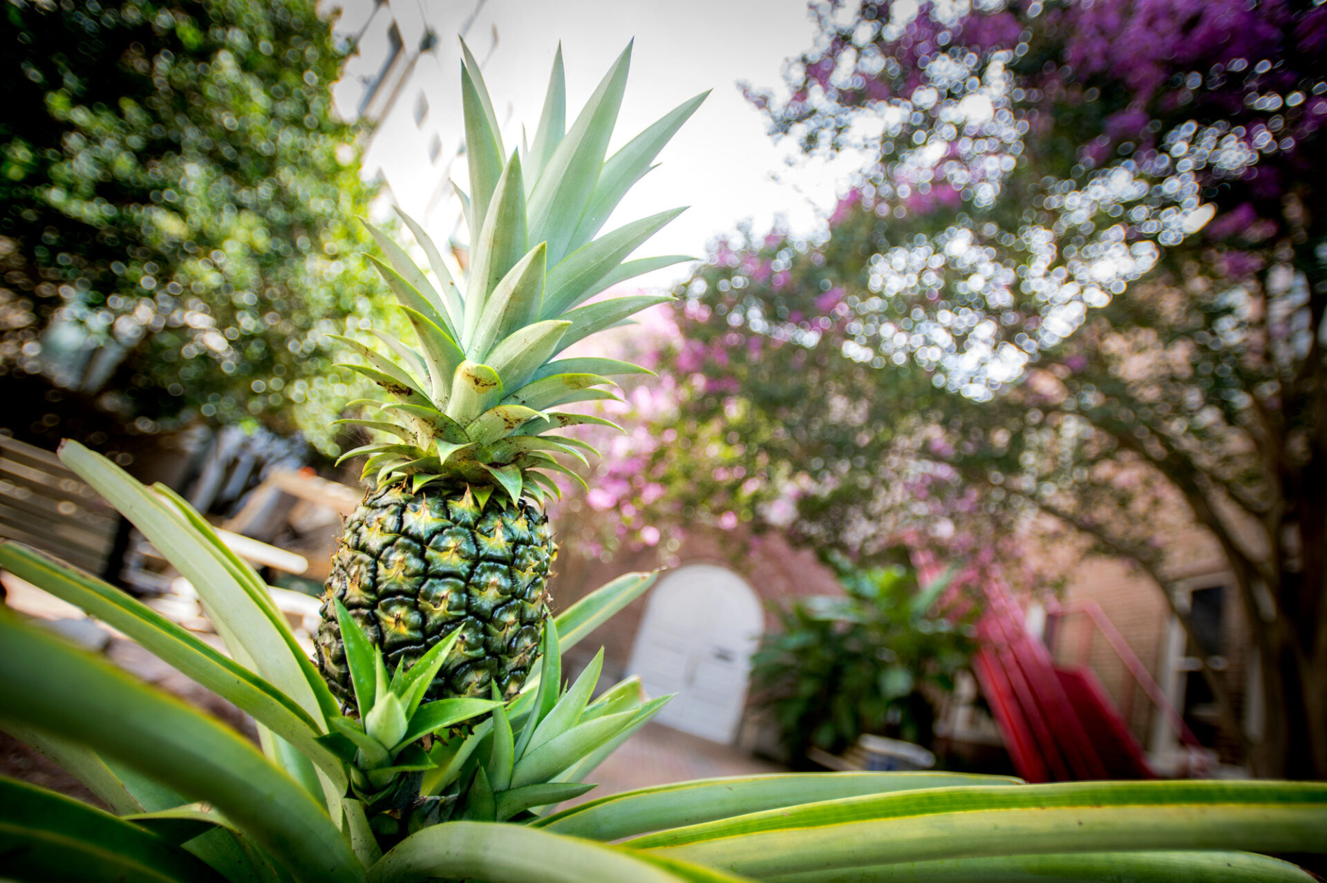 Undergraduate Research Assistant – NTC Research Network