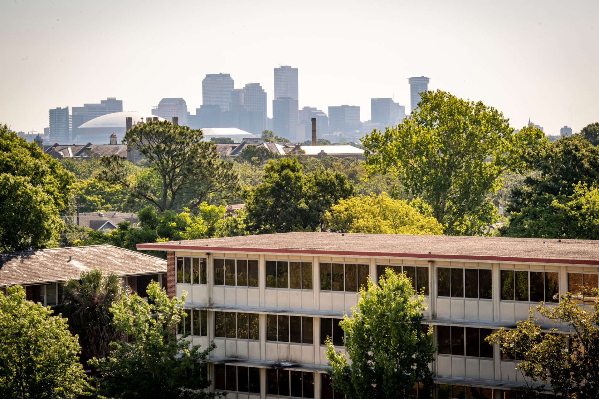 Qi Lab – NTC Research Network